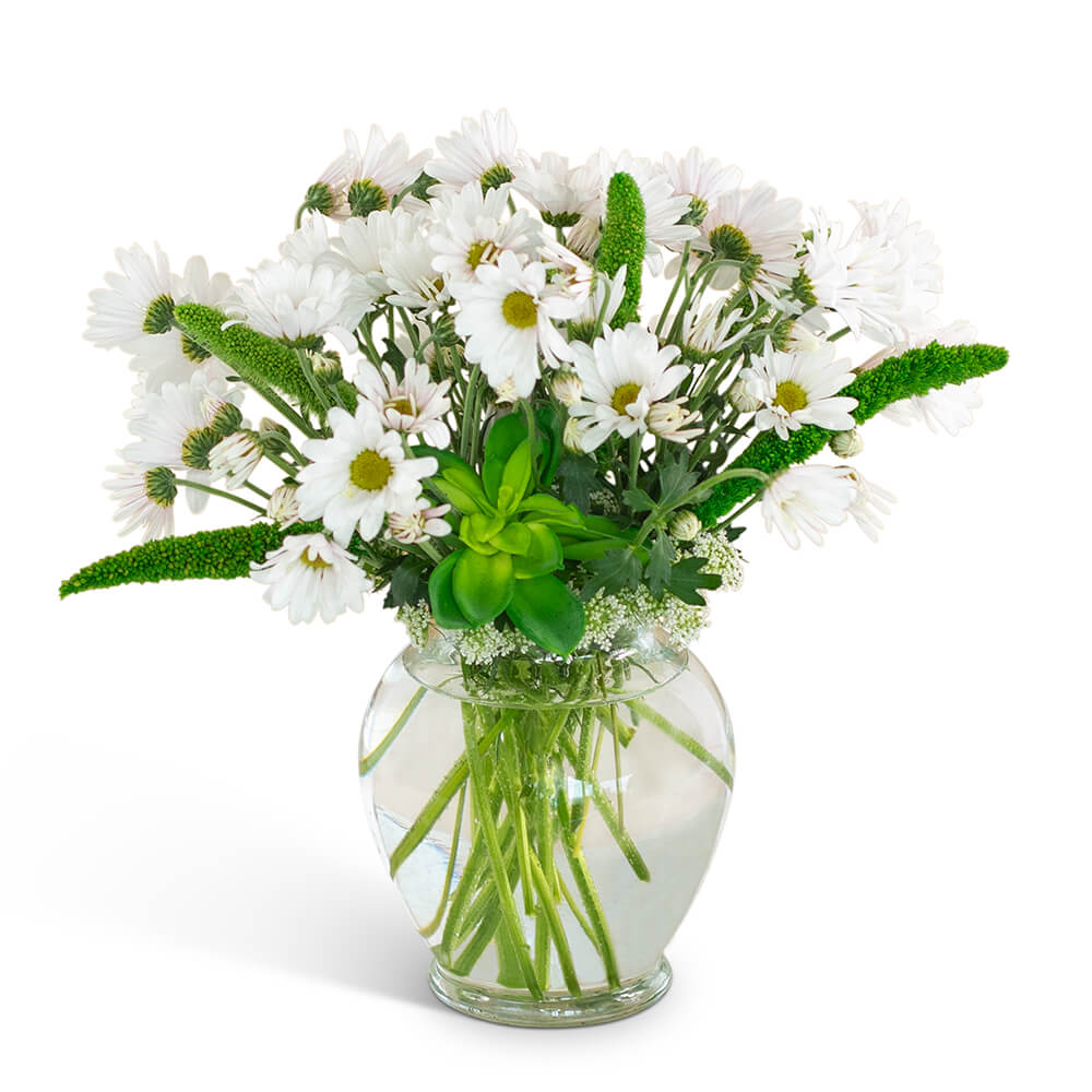 Tim's Touch Florist, Gifts & Flower Delivery :: First Place Daisies