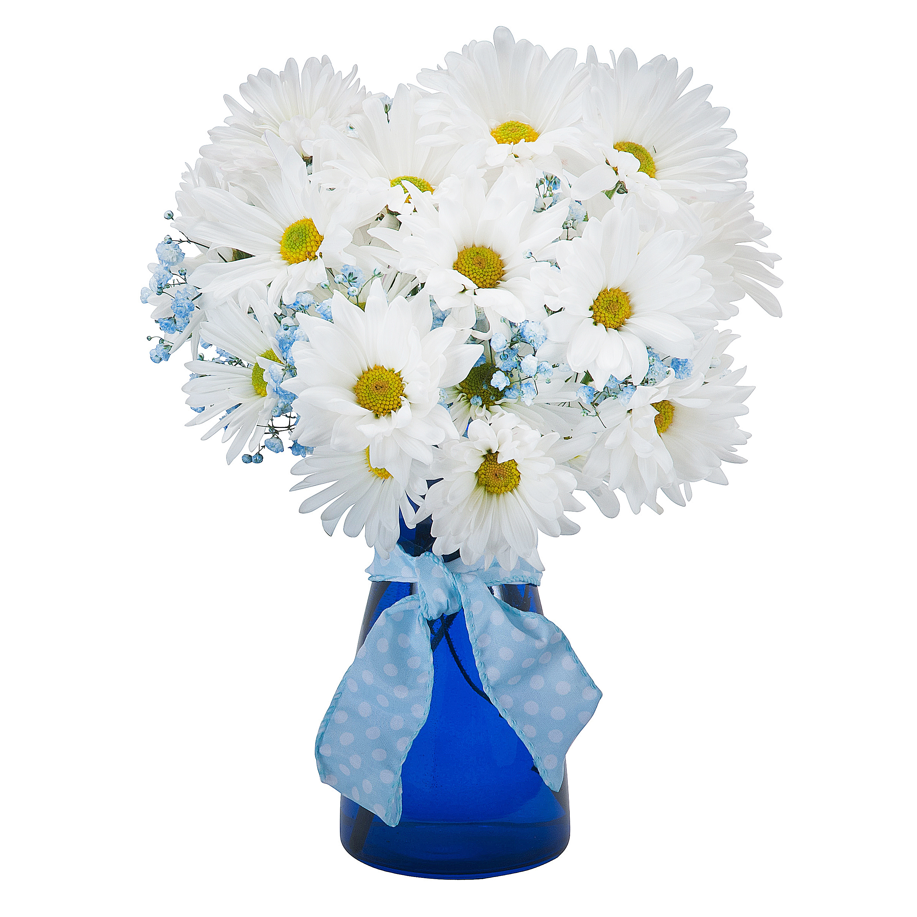 Tim's Touch Florist, Gifts & Flower Delivery :: Baby Blue