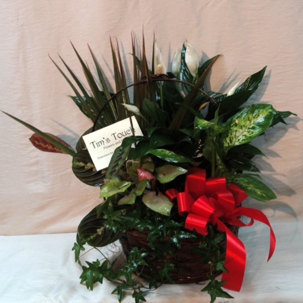 Tim's Touch Florist, Gifts & Flower Delivery :: European Garden Basket