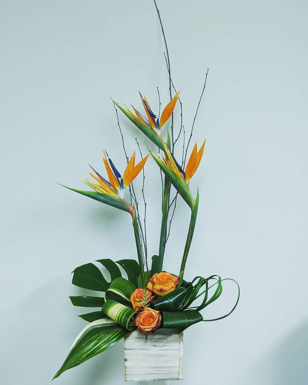 Tim's Touch Florist, Gifts & Flower Delivery :: Birds Fly High
