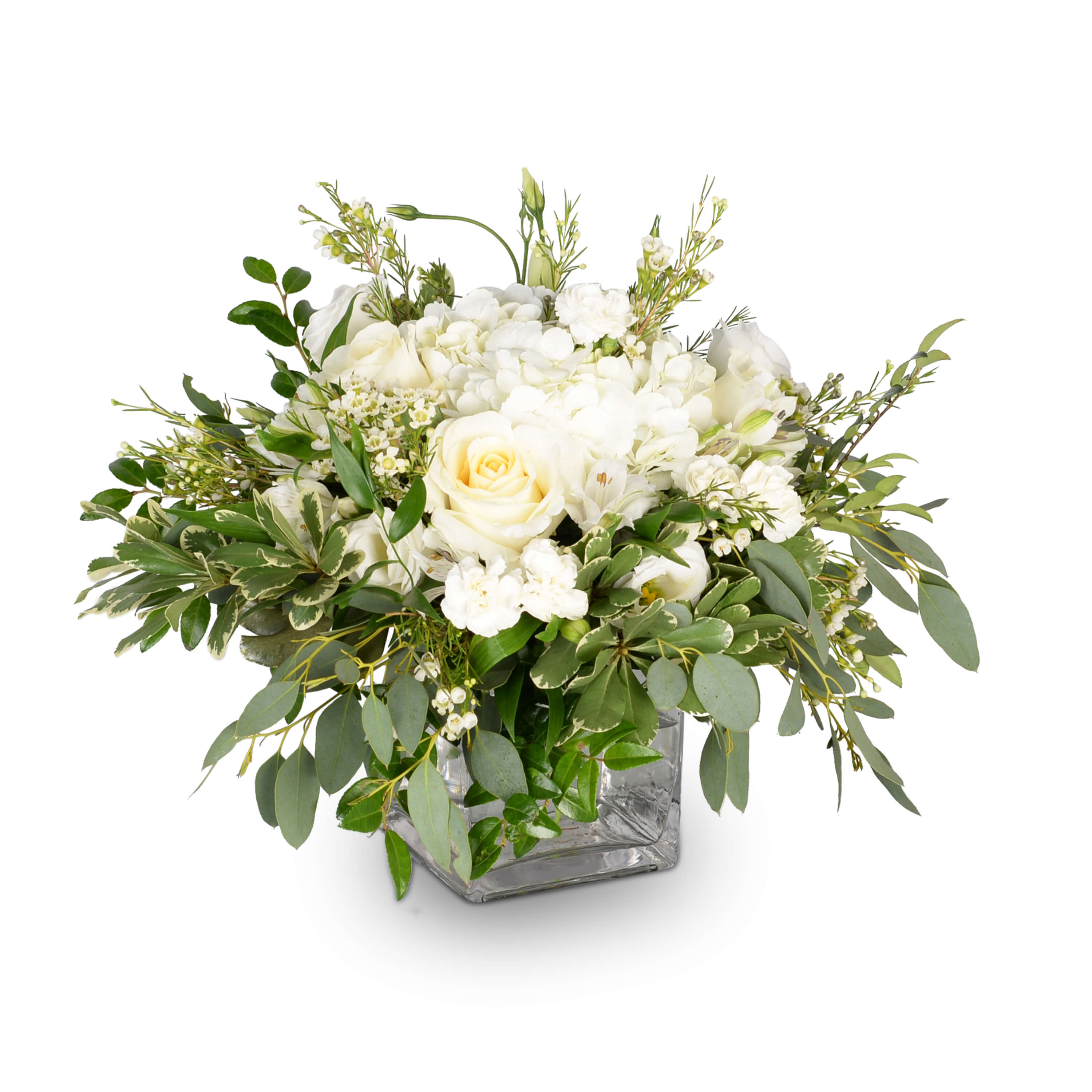 Tim's Touch Florist, Gifts & Flower Delivery :: Be the Light